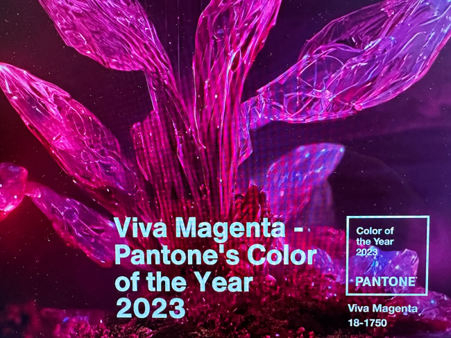 Magenta Maligned – Flower Color in the Garden | Before You Garden...